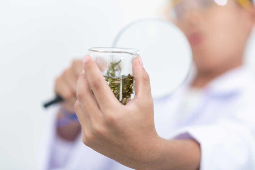 Can Medical Marijuana Be Prescribed to Minors? | The Sanctuary Wellness ...