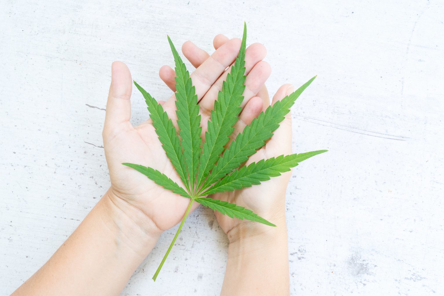Medical Marijuana for Hospice Care | The Sanctuary